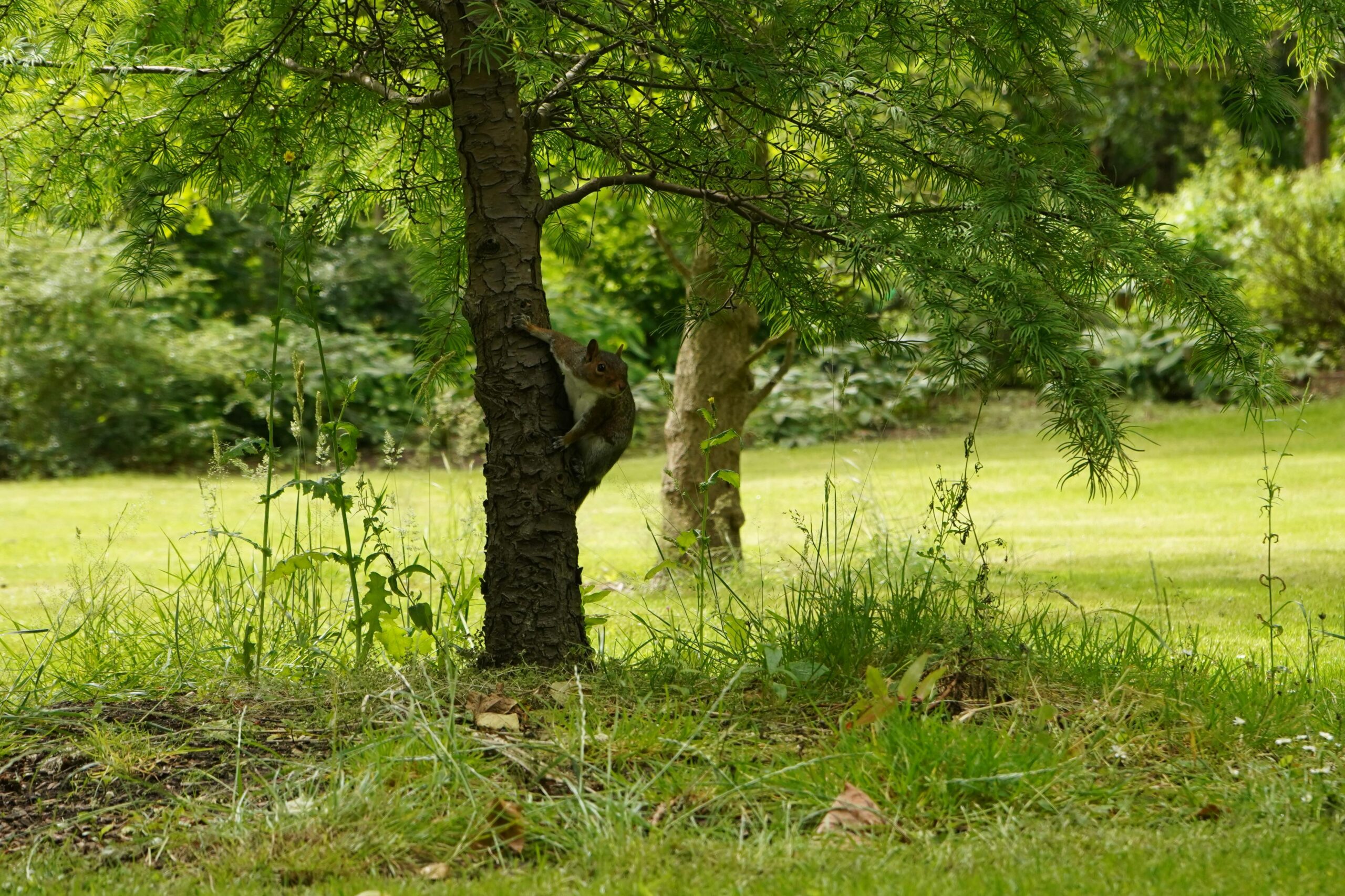 Revive Your Damaged Lawn with These 3 Essential Services - Supply ...