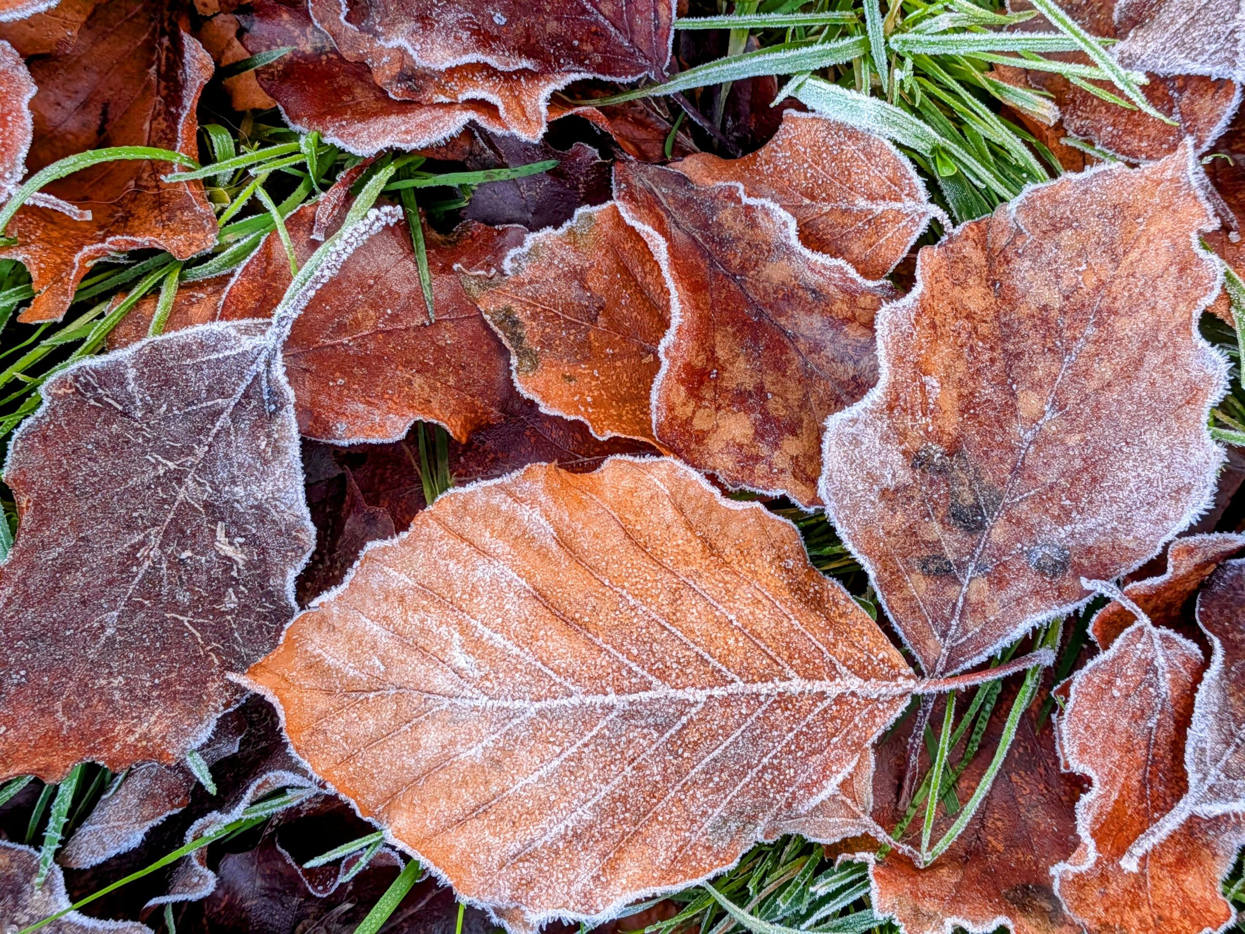 Winter Rains and Potash: Are You Losing Potassium Before Spring ...